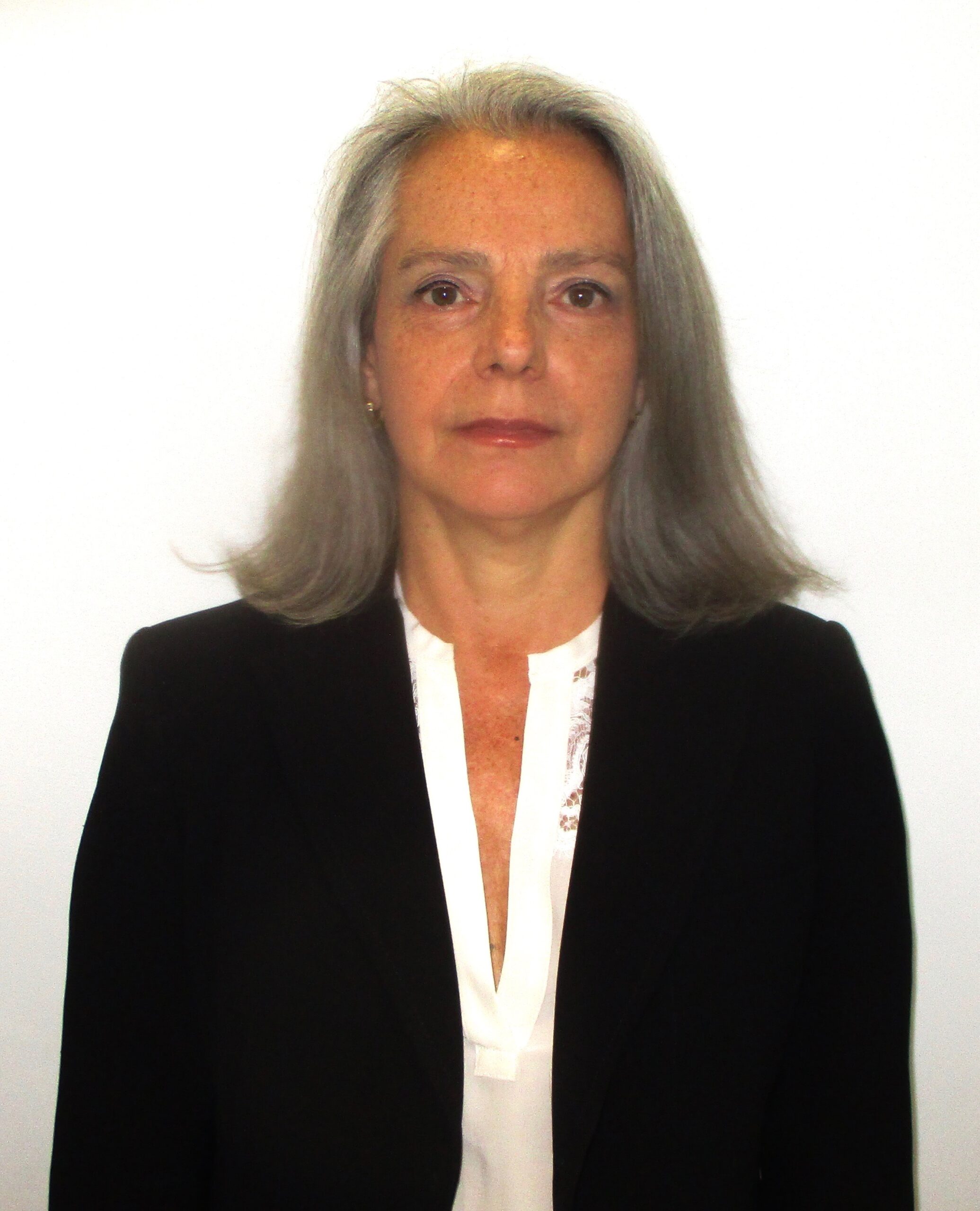 Ming porcelain from the Portuguese shipwreck Espadarte (1558)